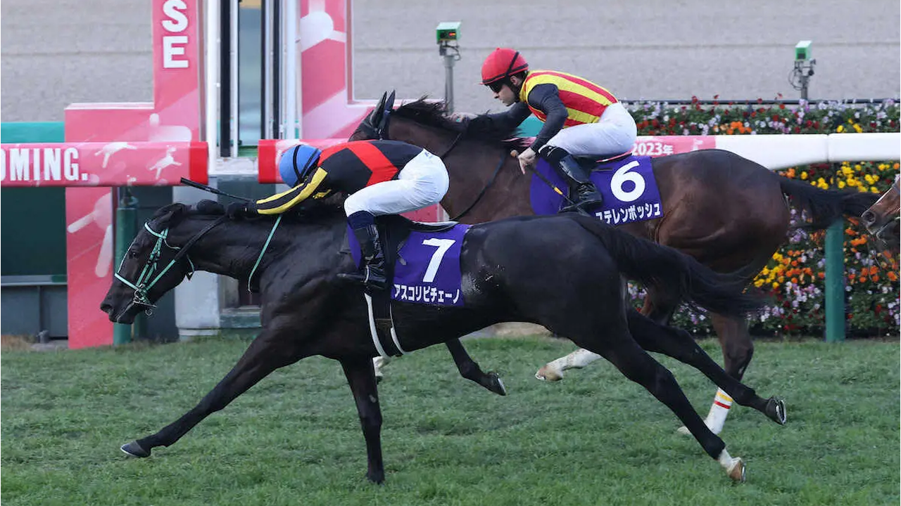 【競馬＆ウマ娘】阪神JFと香港国際G1見る - 2024/12/8(日) 14:53開始 - ニコニコ生放送